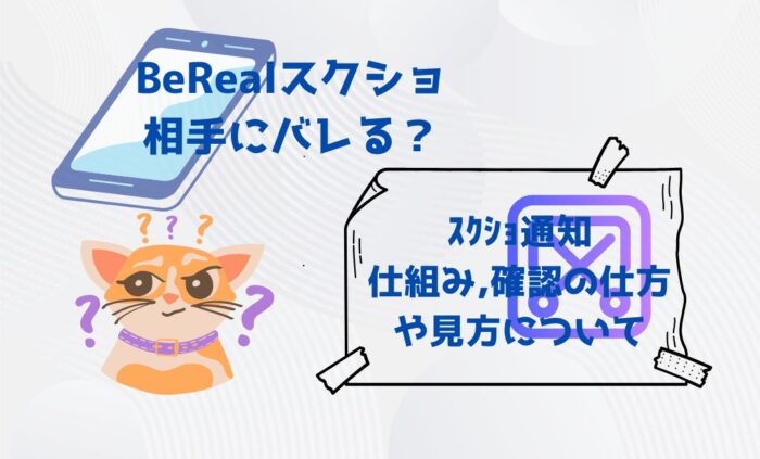berealでｽｸｼｮは相手にﾊﾞﾚる？ｽｸｼｮ通知や仕組み,確認の仕方や見方について | ともねこ情報blog