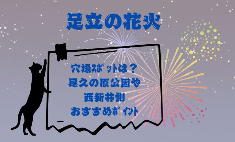 足立の花火2026穴場ｽﾎﾟｯﾄは？尾久の原公園や西新井側おすすめﾎﾟｲﾝﾄについても | ともねこ情報blog